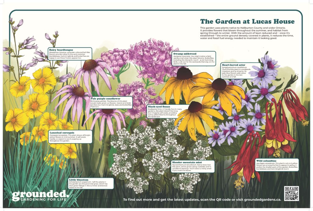 The Garden at Lucas House - Grounded