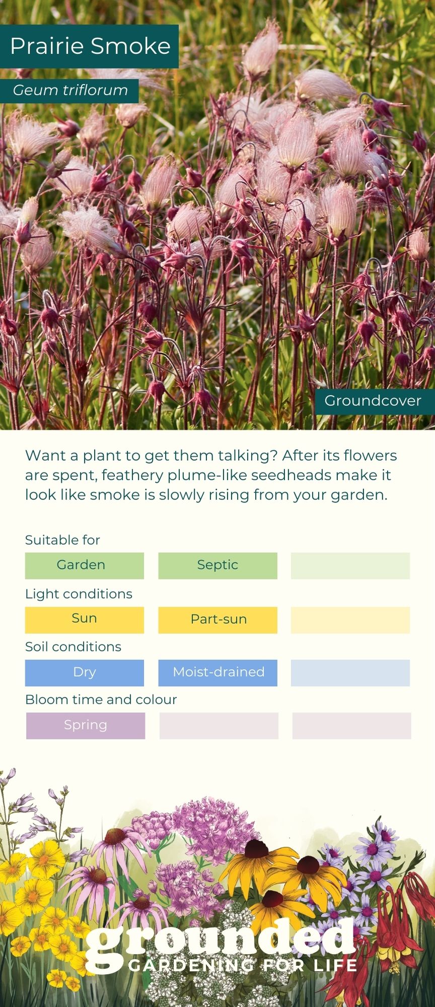 Prairie Smoke - Grounded