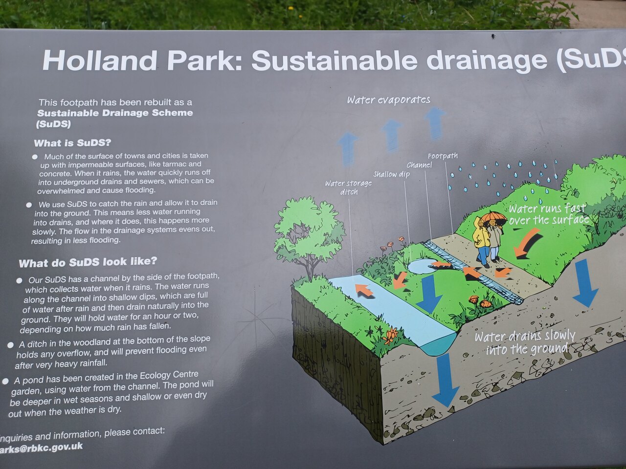 On bioswales, SuDS and rain gardens - Grounded