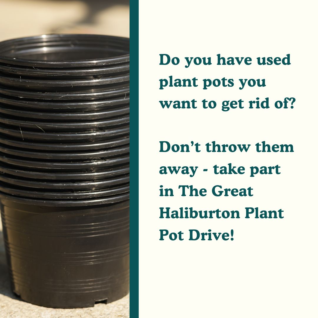 The Great Haliburton Used Plant Pot Drive - Grounded